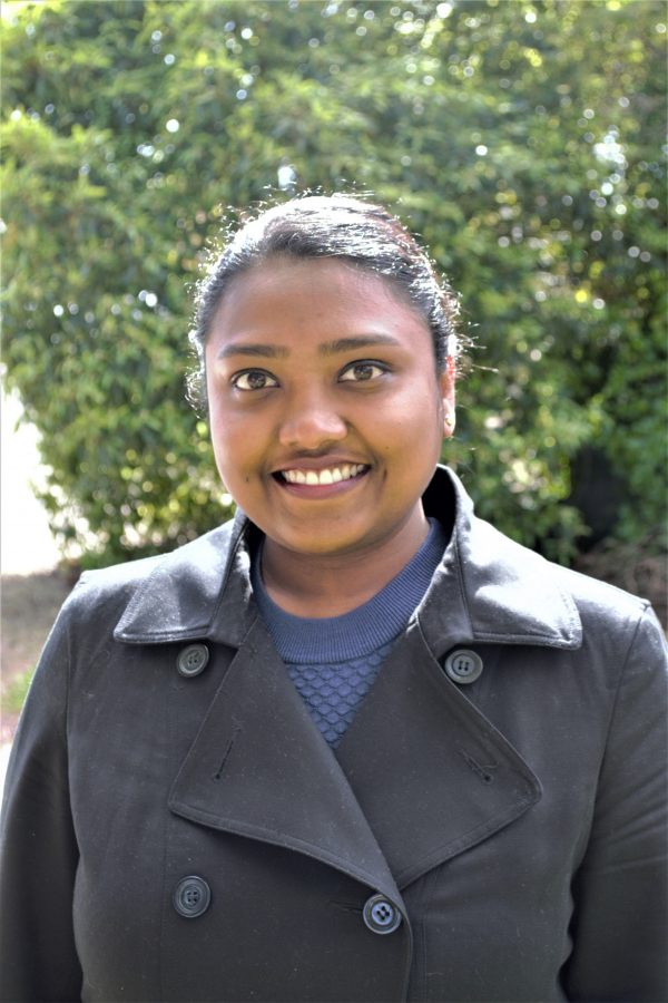 Project Snapshots - IDEAL Research Hub